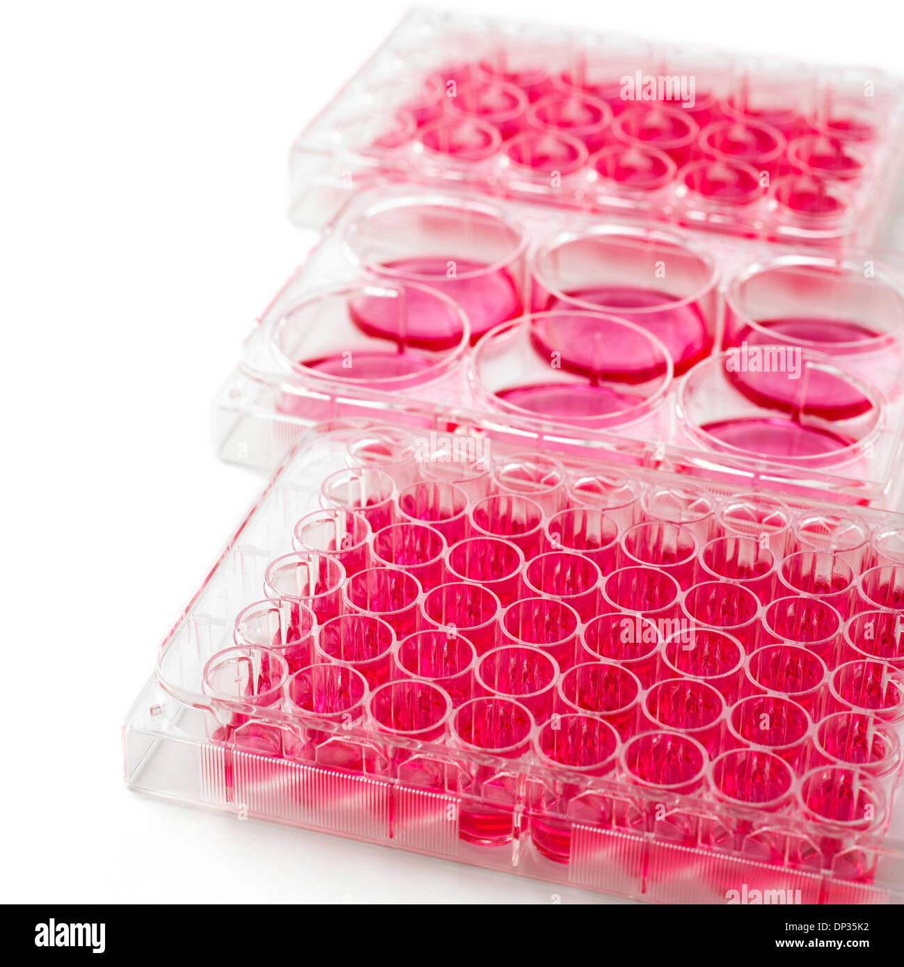 Culture de cellules Banque de photographies et d’images à haute ...