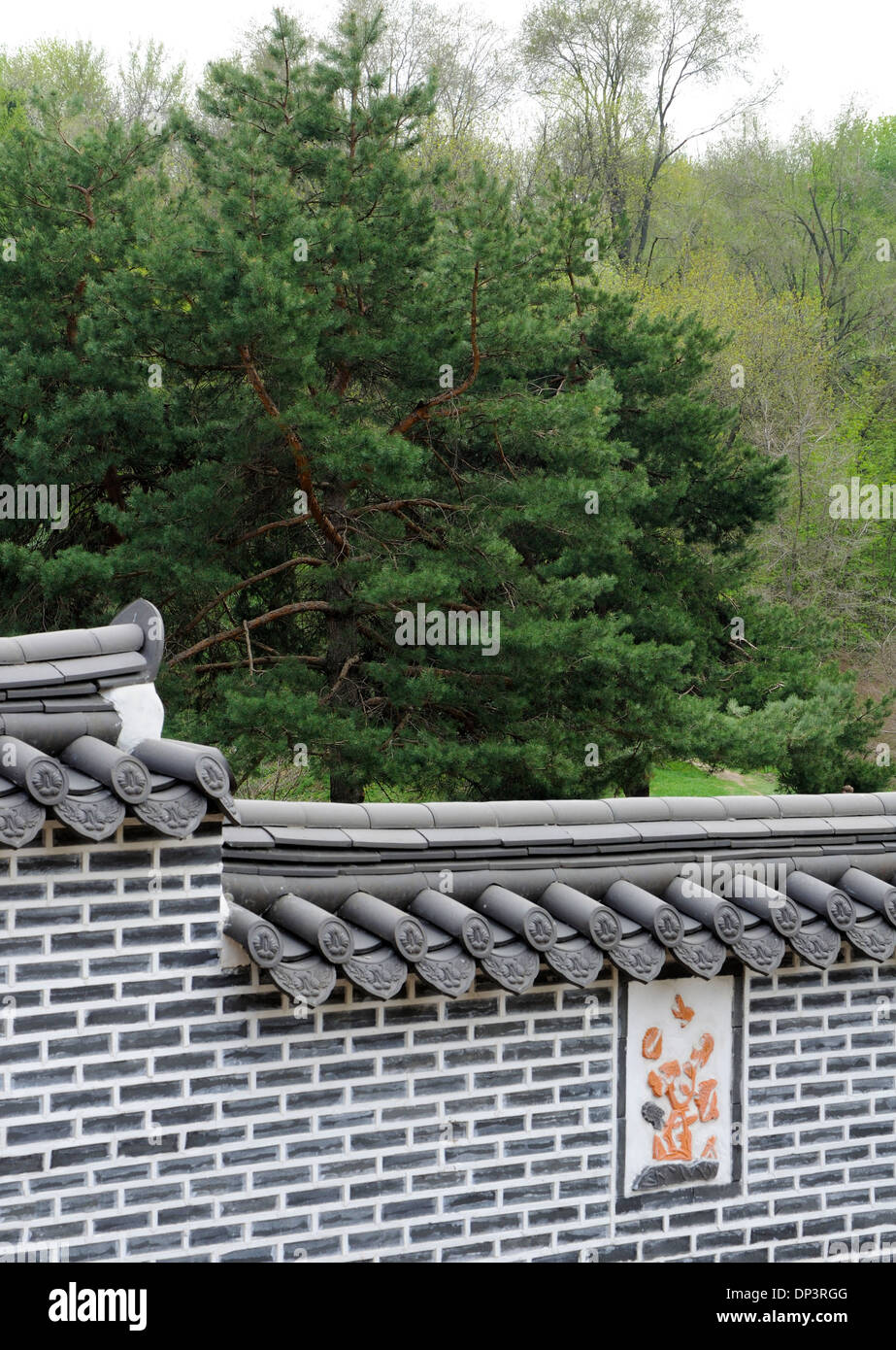 Mur de pin Banque de photographies et d’images à haute résolution - Alamy