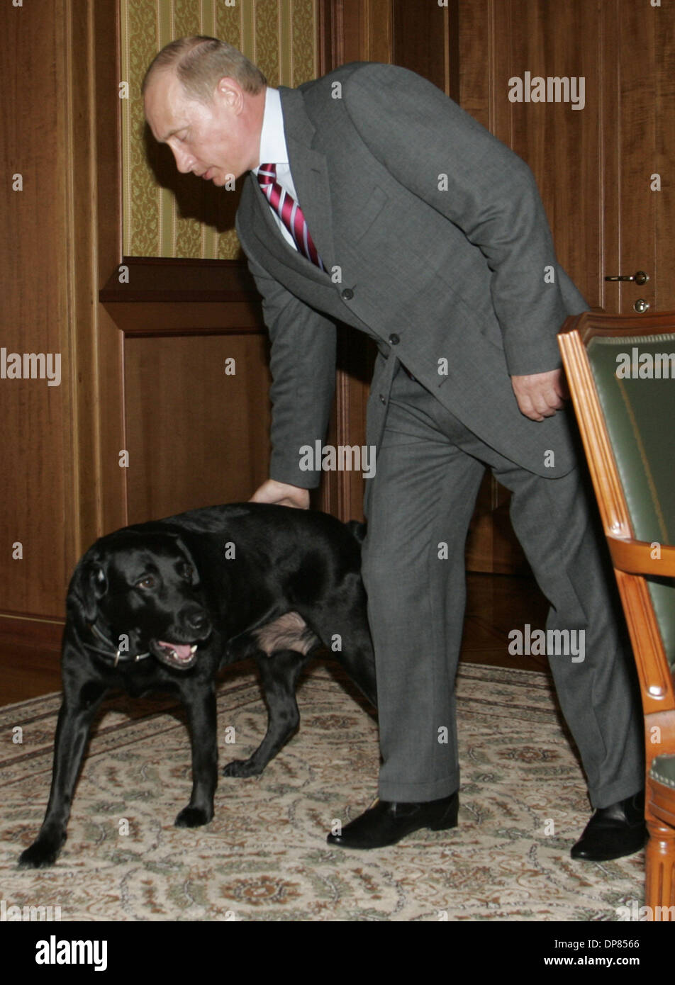 Vladimir putin dog konni credit Banque de photographies et d’images à ...