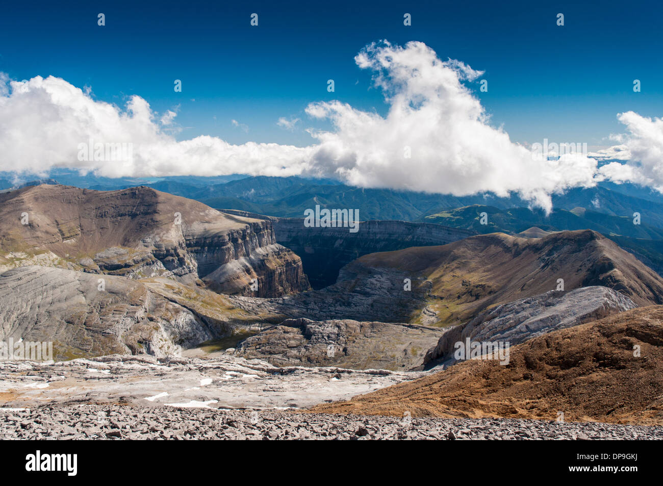 Pico taillon Banque de photographies et d’images à haute résolution - Alamy