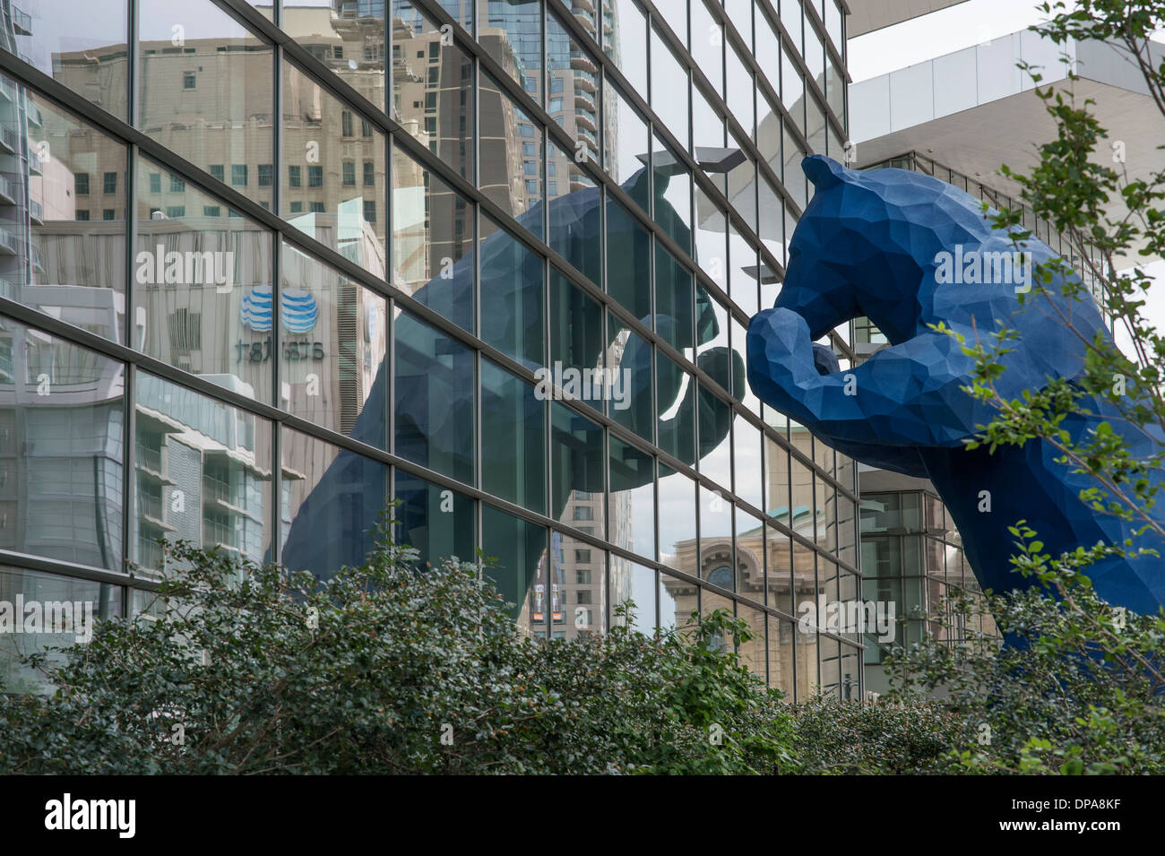 Ours bleu de denver Banque de photographies et d’images à haute ...