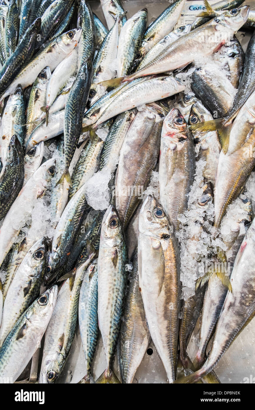 Affichage de poisson comestible Banque de photographies et d’images à ...