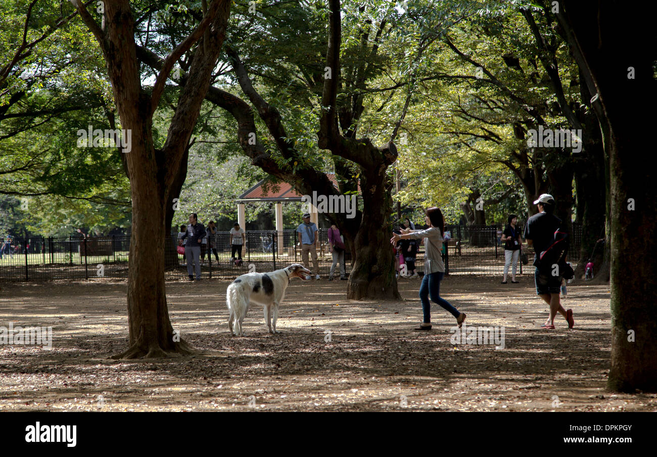 Parc à chien Banque de photographies et d’images à haute résolution - Alamy