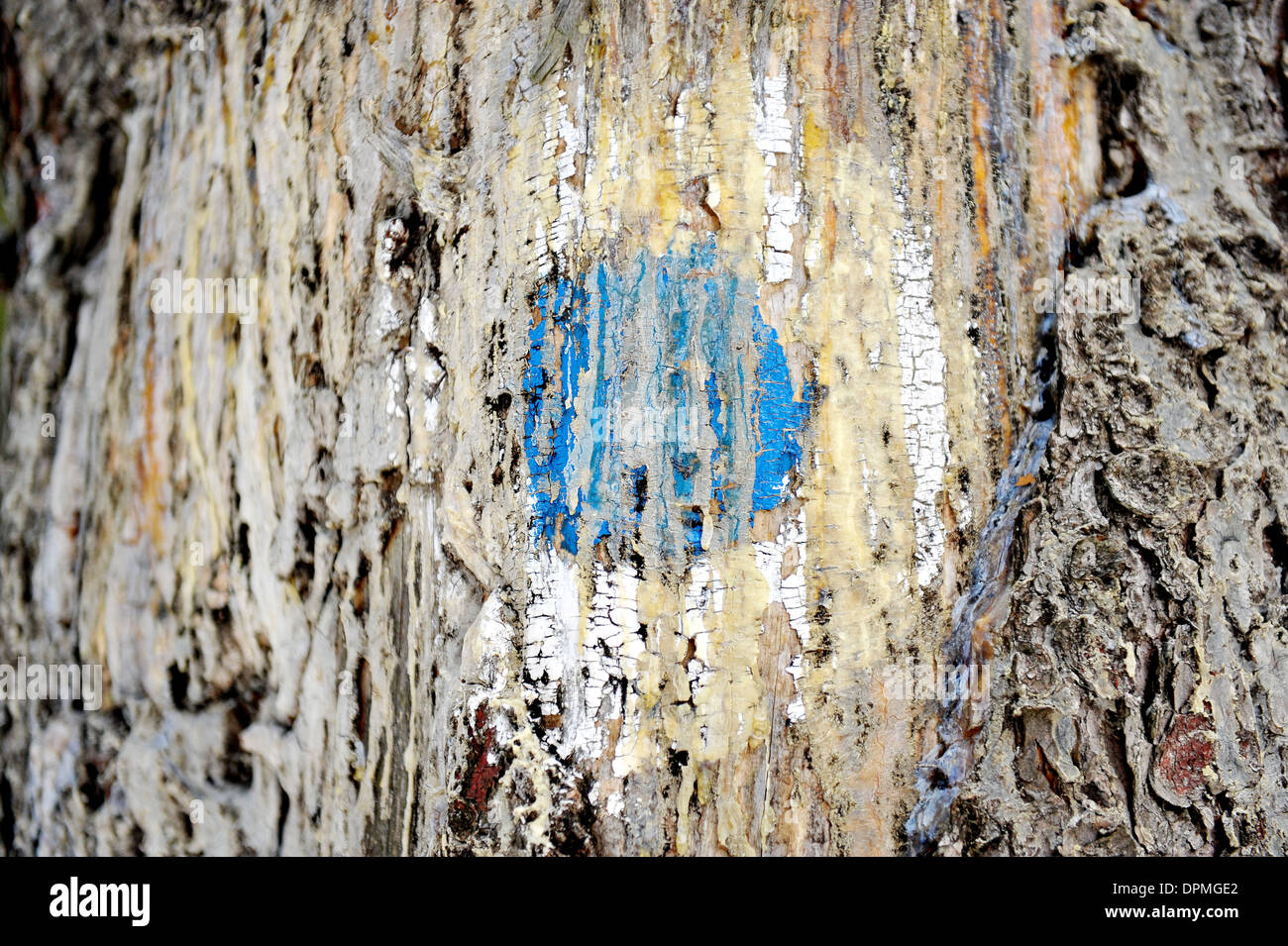 Point bleu Banque de photographies et d’images à haute résolution - Alamy