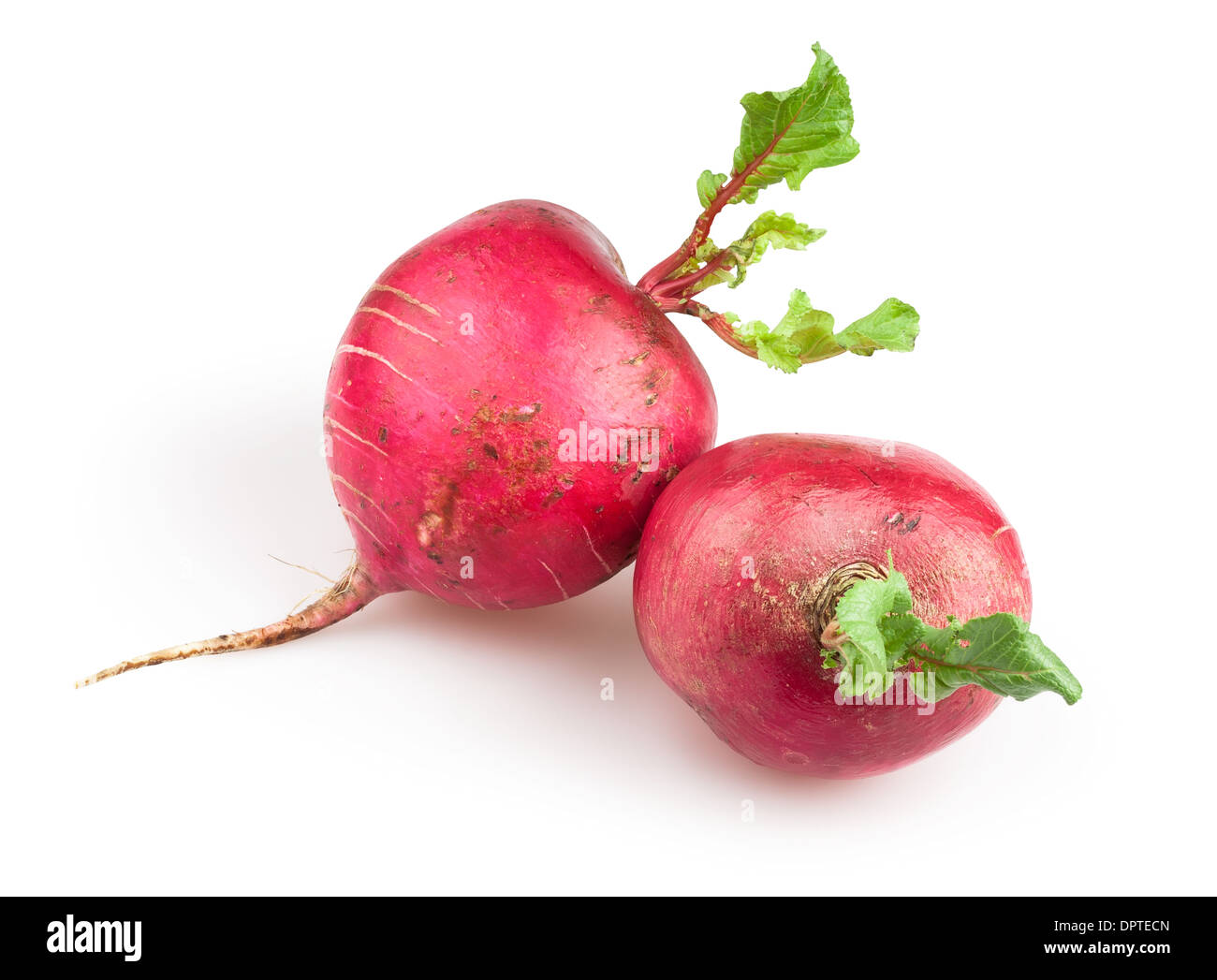 Radis avec des feuilles sur fond blanc Banque de photographies et d ...