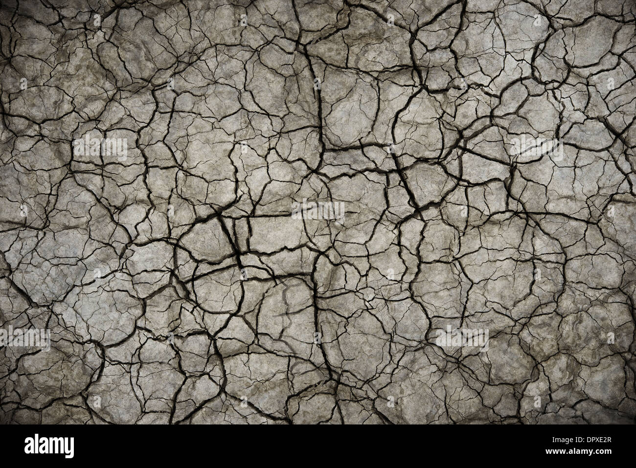 Soil fissures Banque de photographies et d’images à haute résolution ...