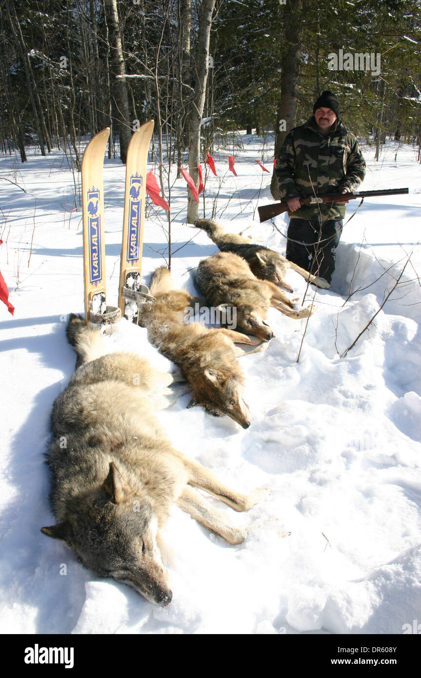 Mar 21, 2009 - Saint-Pétersbourg, Russie - la chasse au loup d'hiver en ...