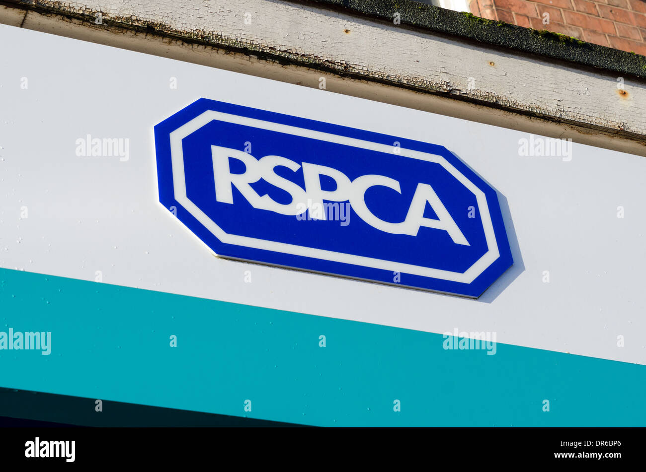 Rspca charity shop Banque de photographies et d’images à haute ...