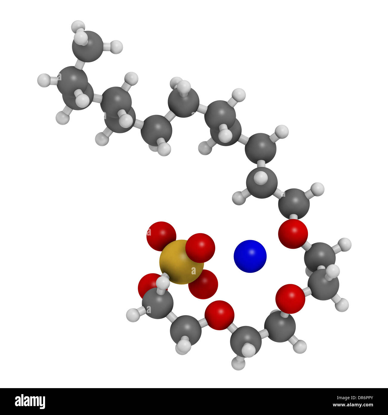 Sodium lauryl sulfate molecule Banque de photographies et d’images à ...