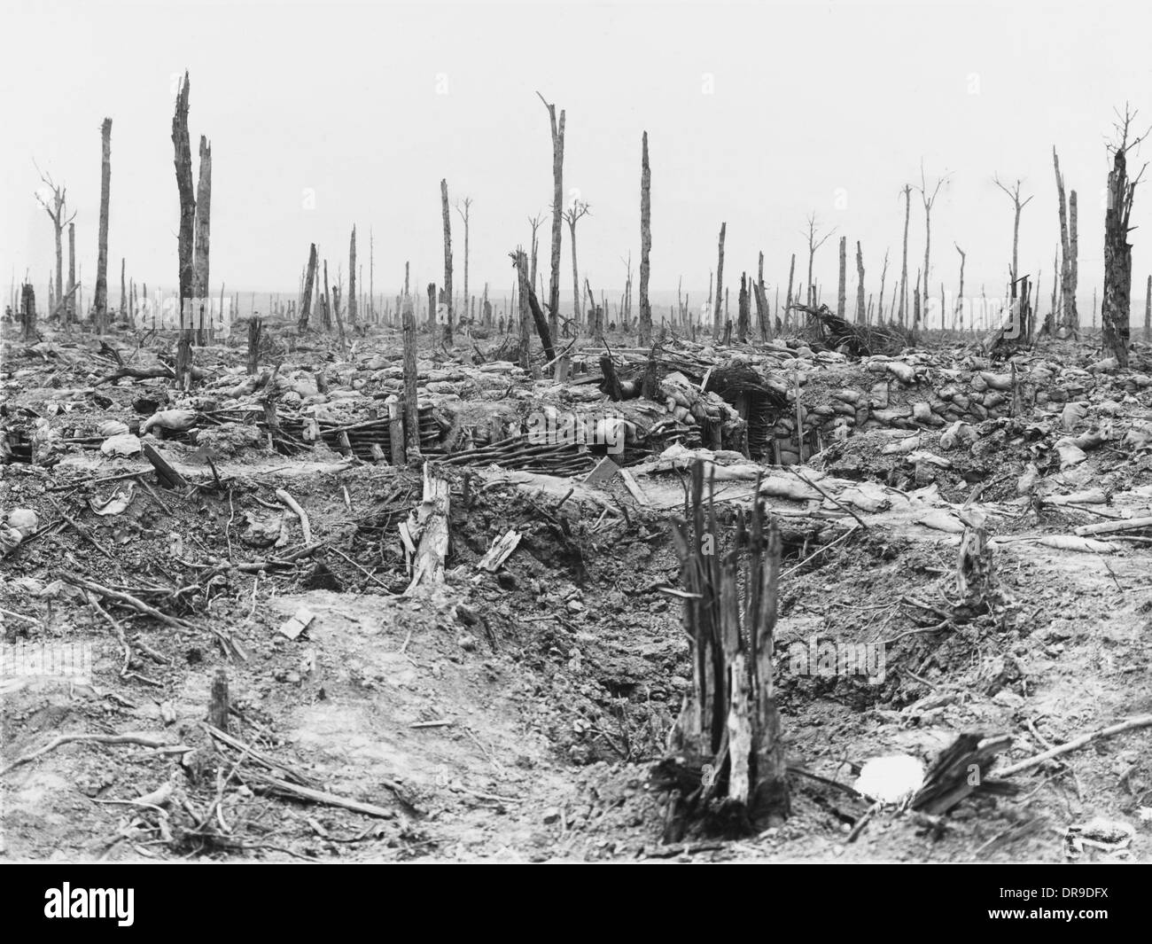 Messines ridge and belgium Banque de photographies et d’images à haute ...