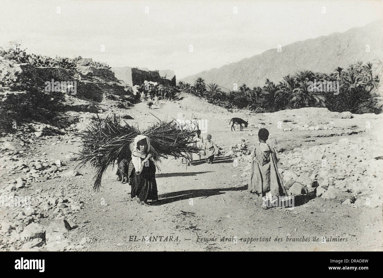El kantara algerie Banque de photographies et d’images à haute résolution - Alamy
