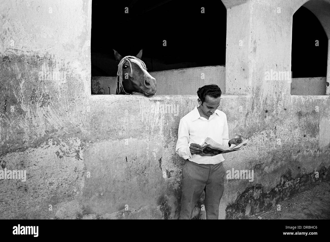 Murs de journaux Banque d'images noir et blanc - Alamy