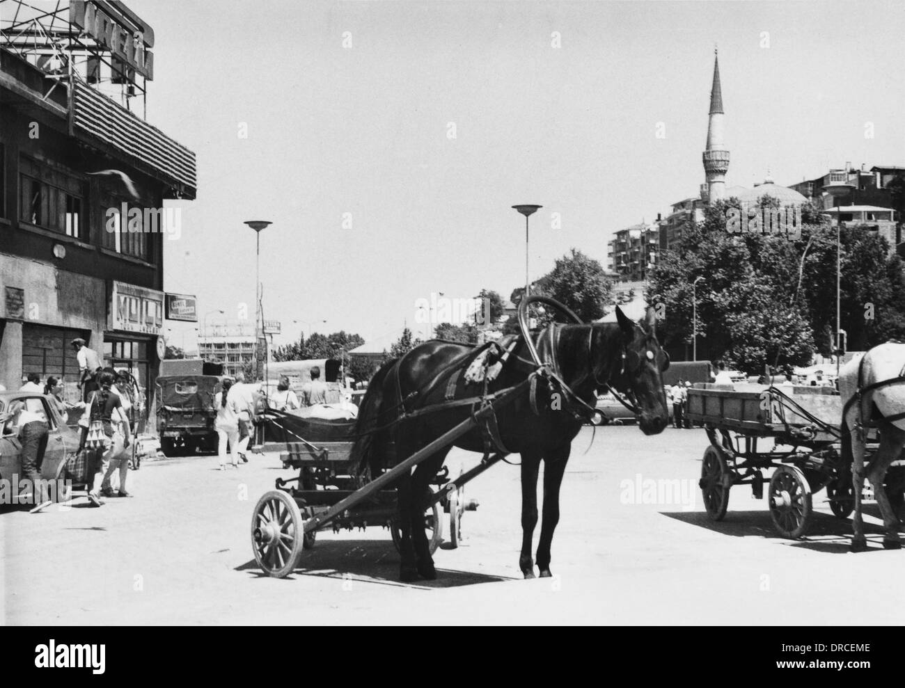Horse drawn chariot Banque d'images noir et blanc - Alamy
