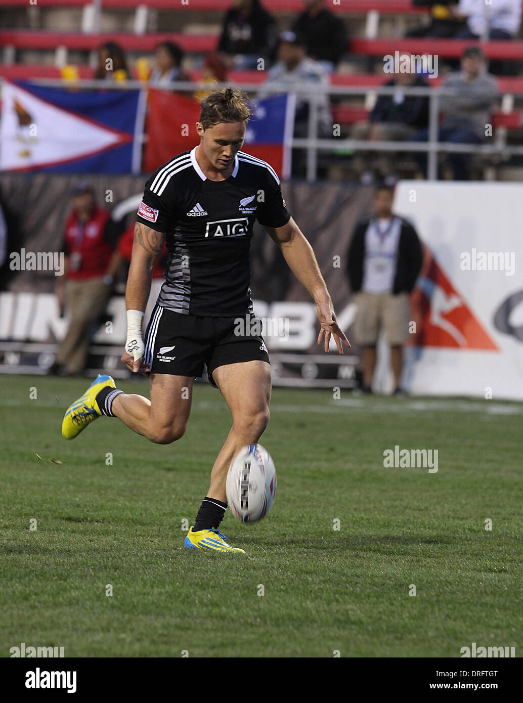 Gillies kaka Banque de photographies et d’images à haute résolution - Alamy