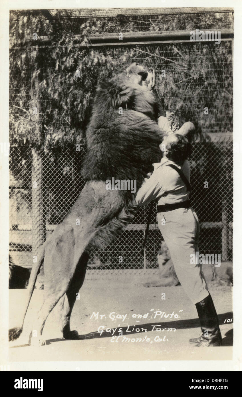 Ferme aux lions gays Banque de photographies et d’images à haute ...