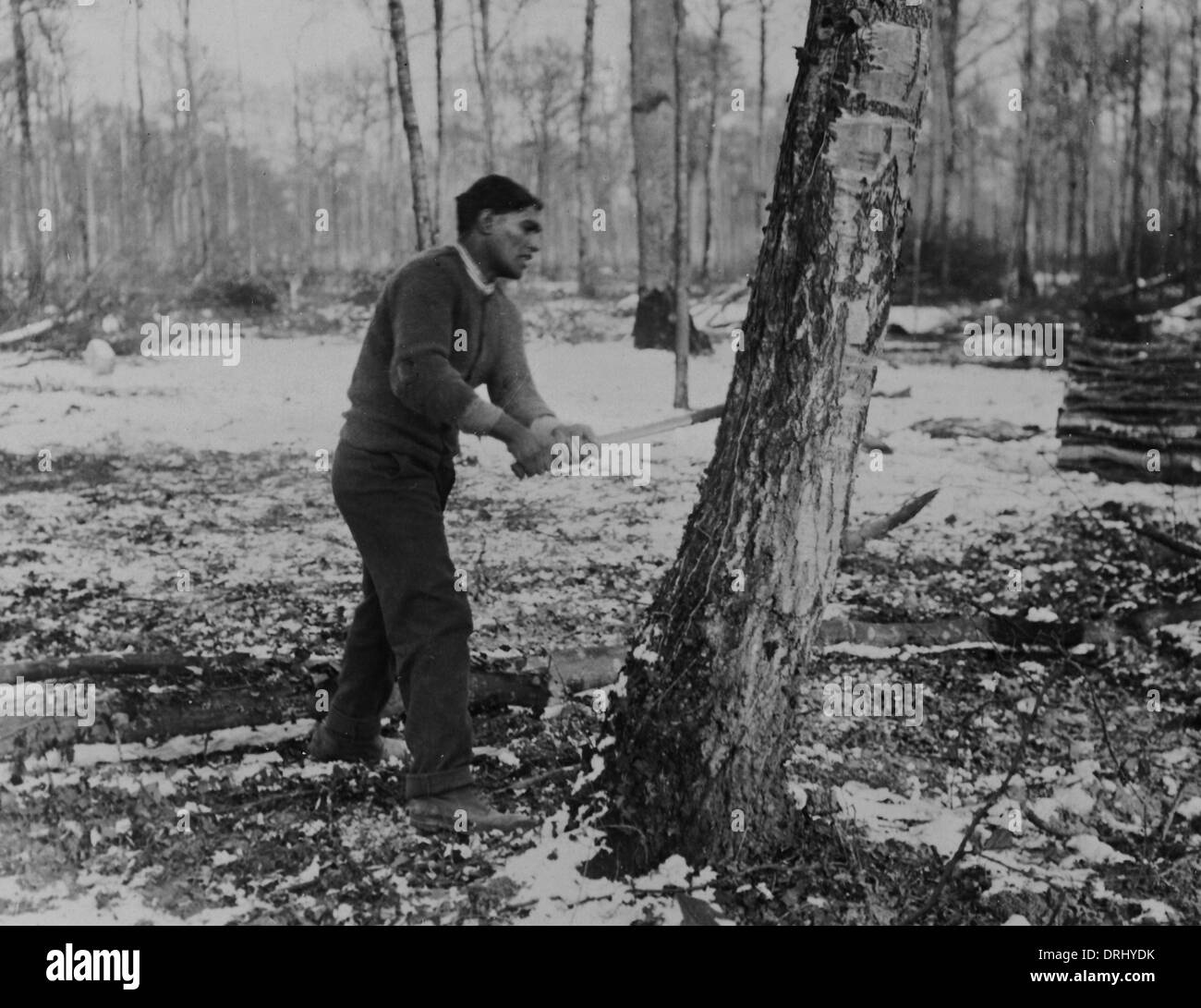 Homme d'arbre Banque d'images noir et blanc - Alamy