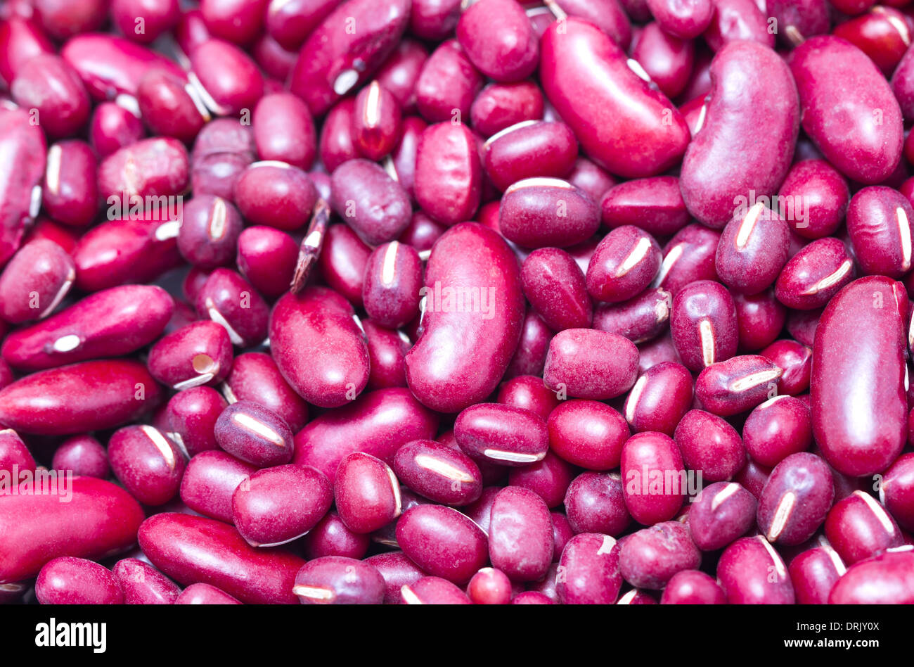 Texture de graines de haricots Banque de photographies et d’images à ...