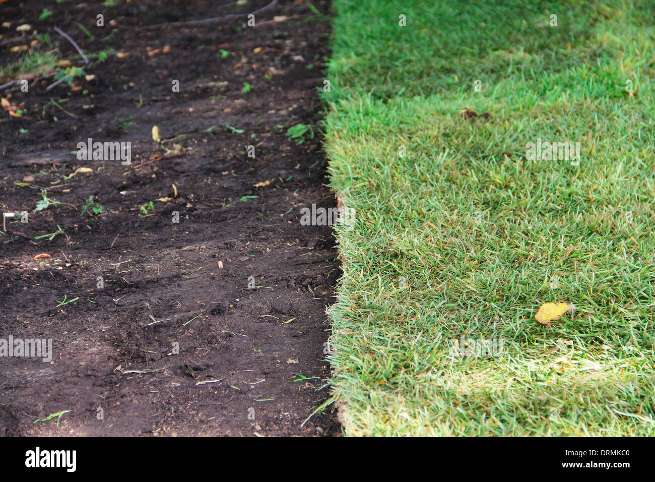 Earth grass soil background texture Banque de photographies et d’images ...