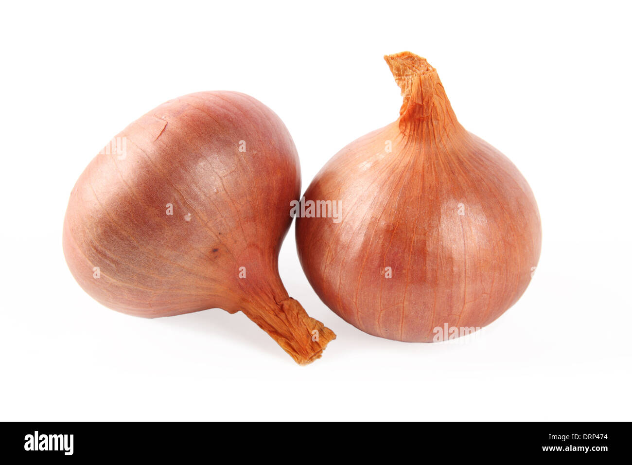 Cercle oignon Banque de photographies et d’images à haute résolution ...