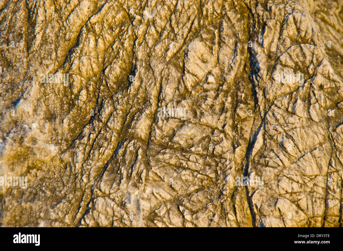 Texture rocheuse Banque de photographies et d’images à haute résolution ...