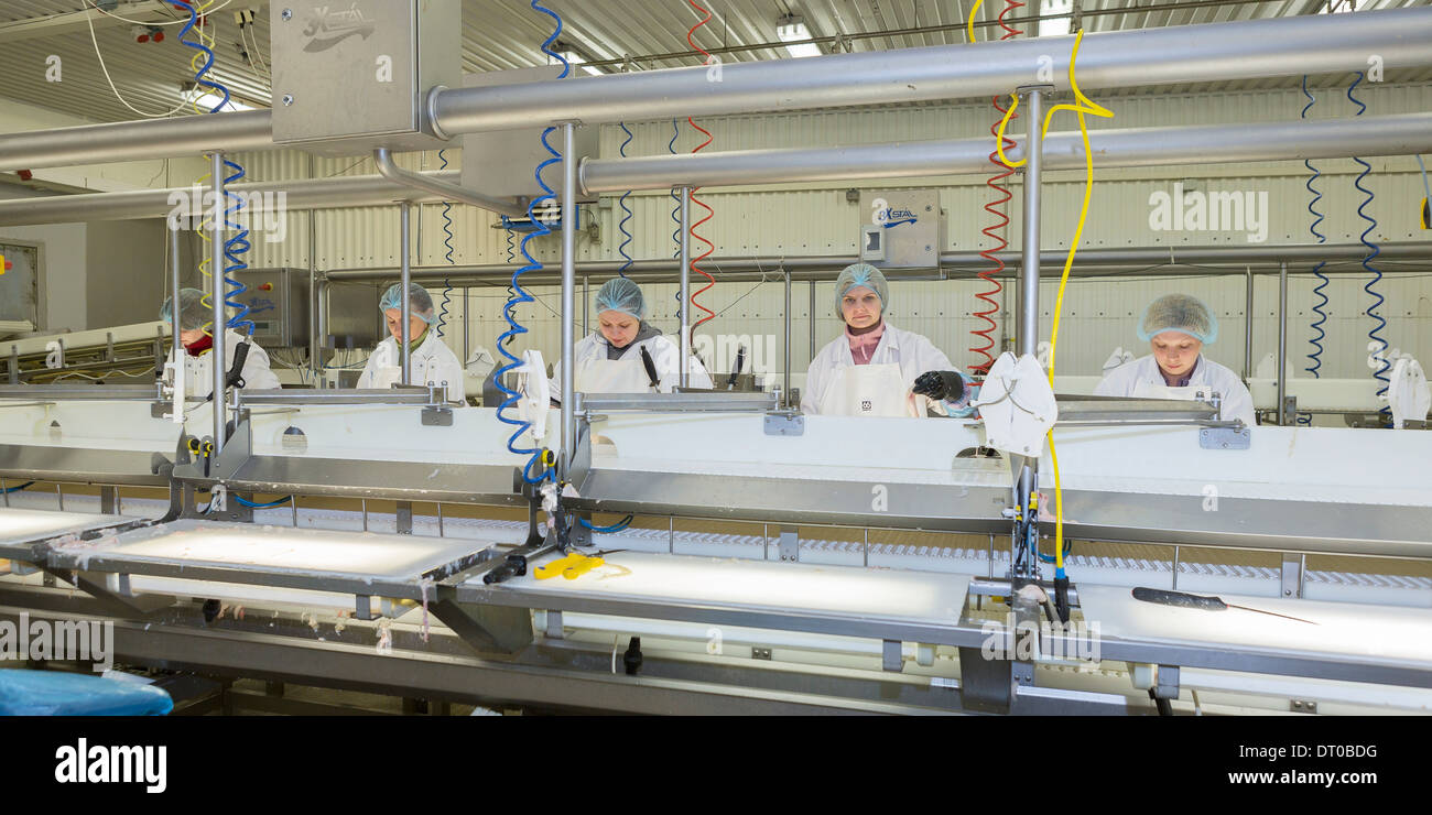 Industrie de la transformation du poisson et des fruits de mer Banque ...