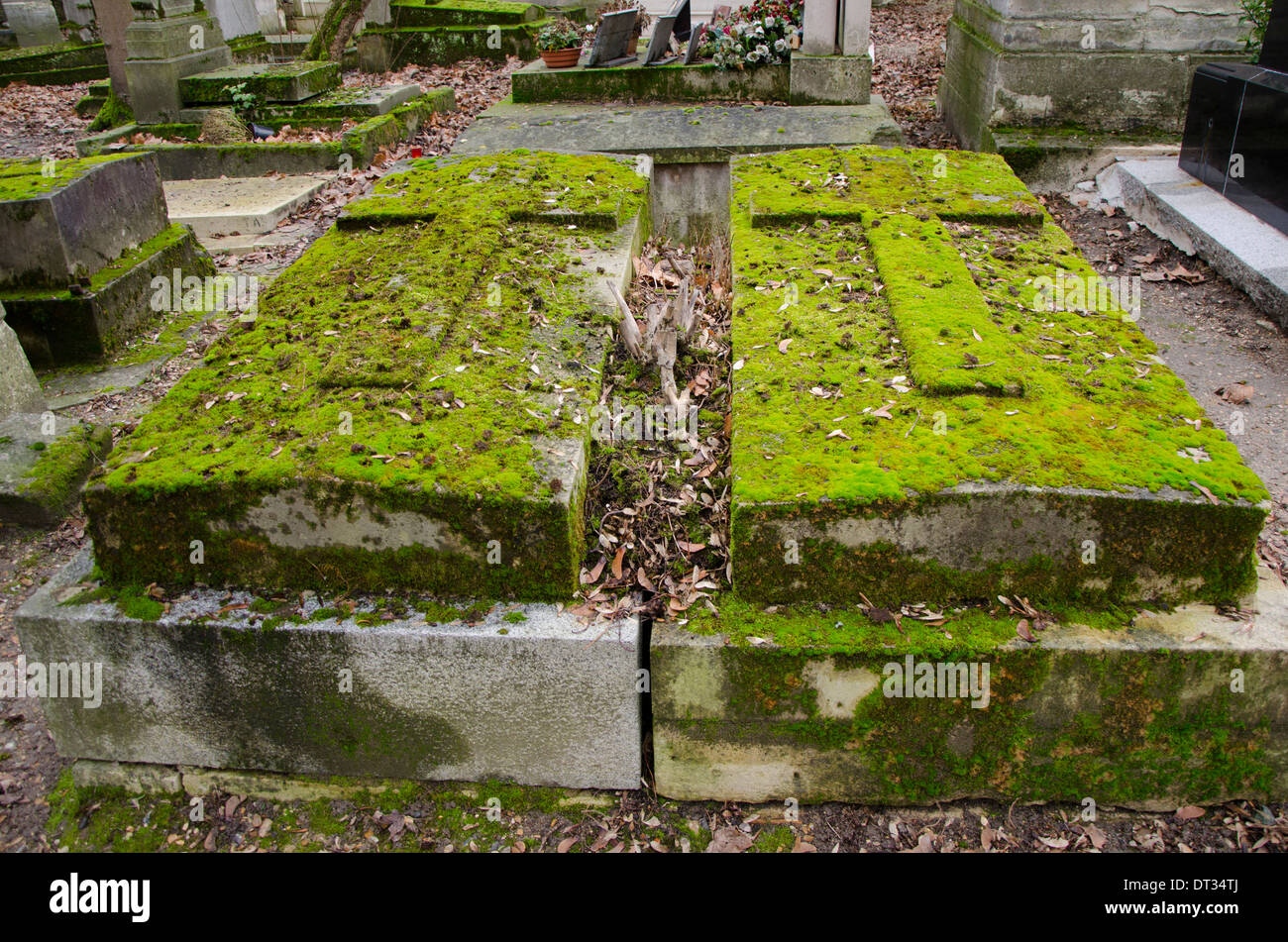 Deux charniers recouverts de mousse au cimetière du Père Lachaise, le ...