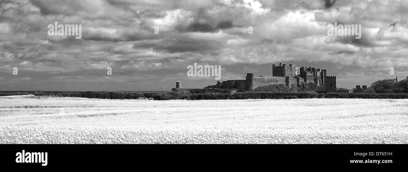 Colza oil Banque d'images noir et blanc - Alamy