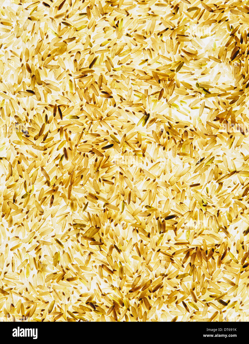 Riz brun biologique Banque de photographies et d’images à haute ...