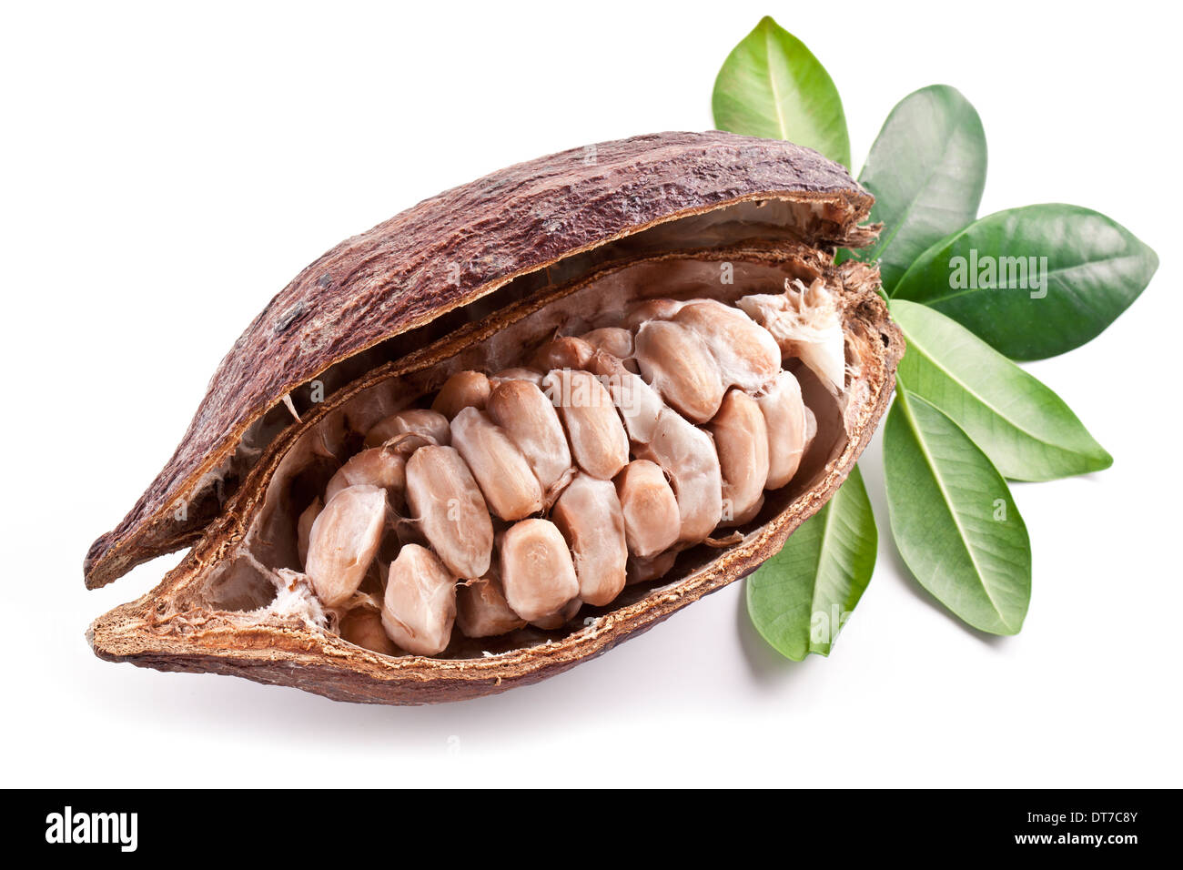 Cabosse chocolat Banque de photographies et d’images à haute résolution ...