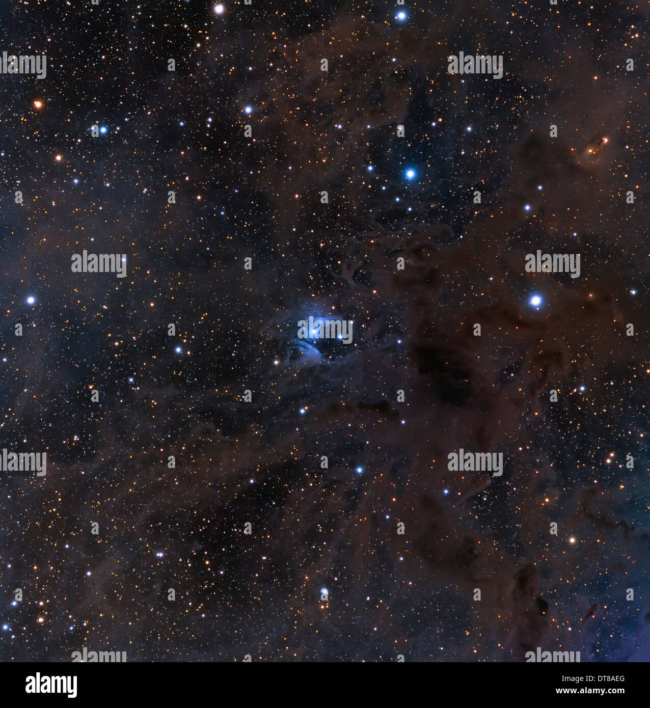 L'étoile brillante VdB 16, la poussière et les nébulosités de la ...