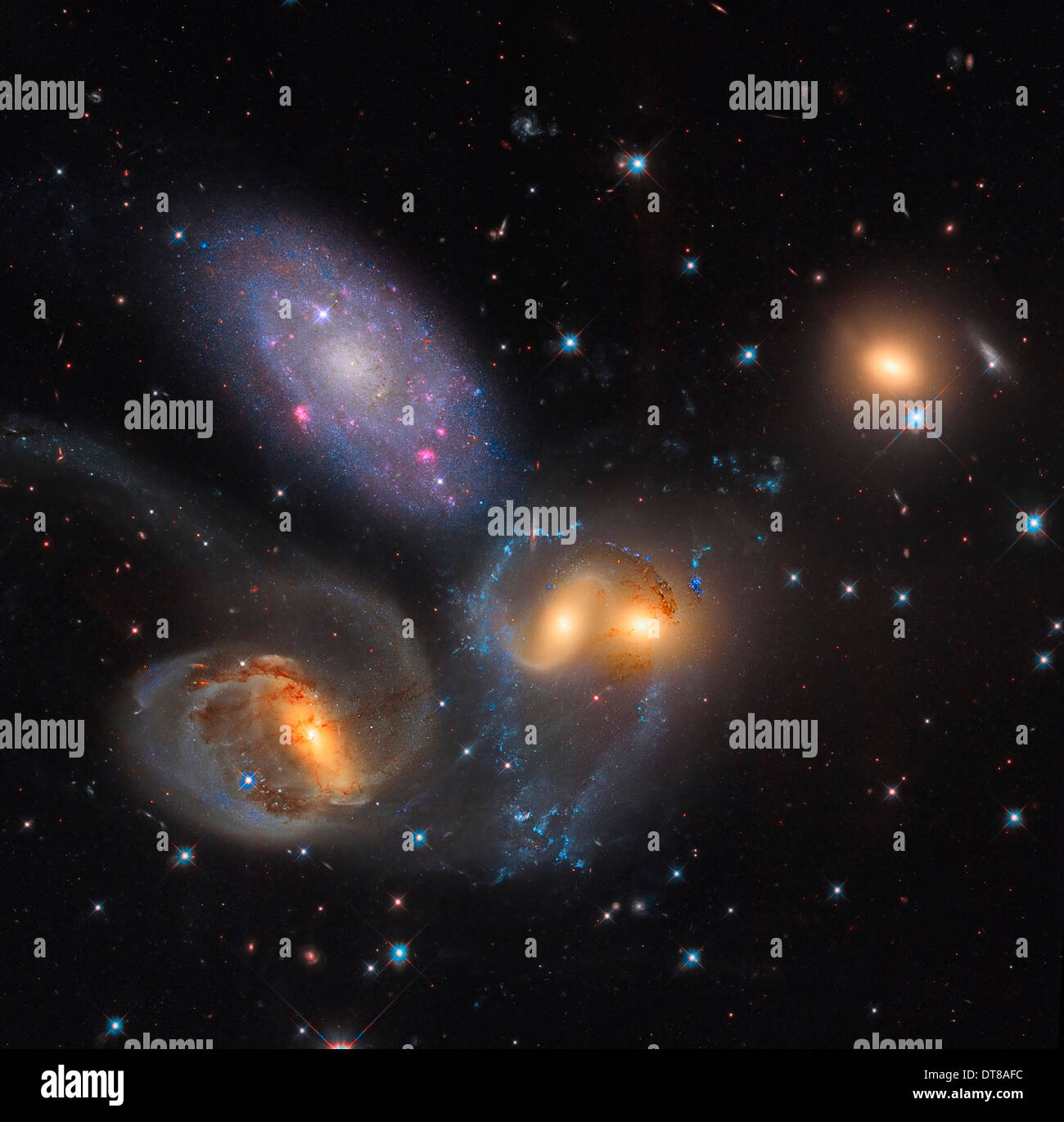 Constellation pégase Banque de photographies et d’images à haute résolution - Alamy