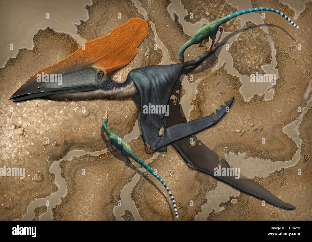 Thalassodromeus sethi Banque de photographies et d’images à haute ...