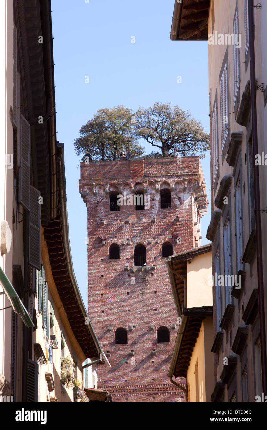 Guinigi tower Banque de photographies et d’images à haute résolution ...