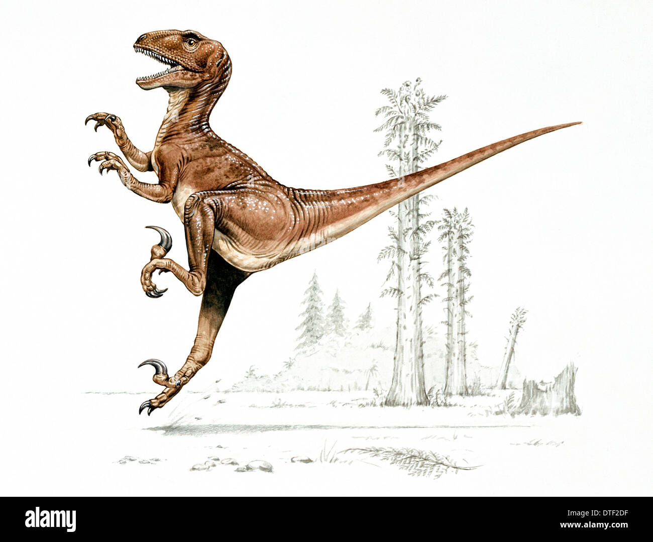 Early cretaceous dinosaur deinonychus Banque de photographies et d ...