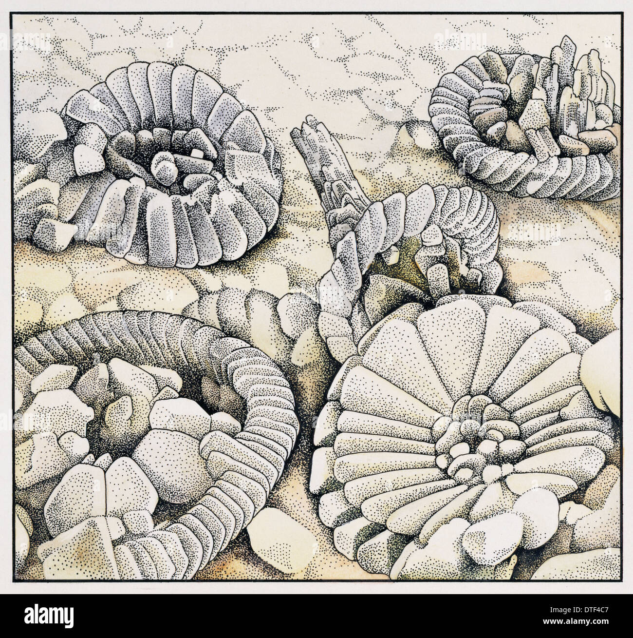 Temps de craie Banque de photographies et d’images à haute résolution ...