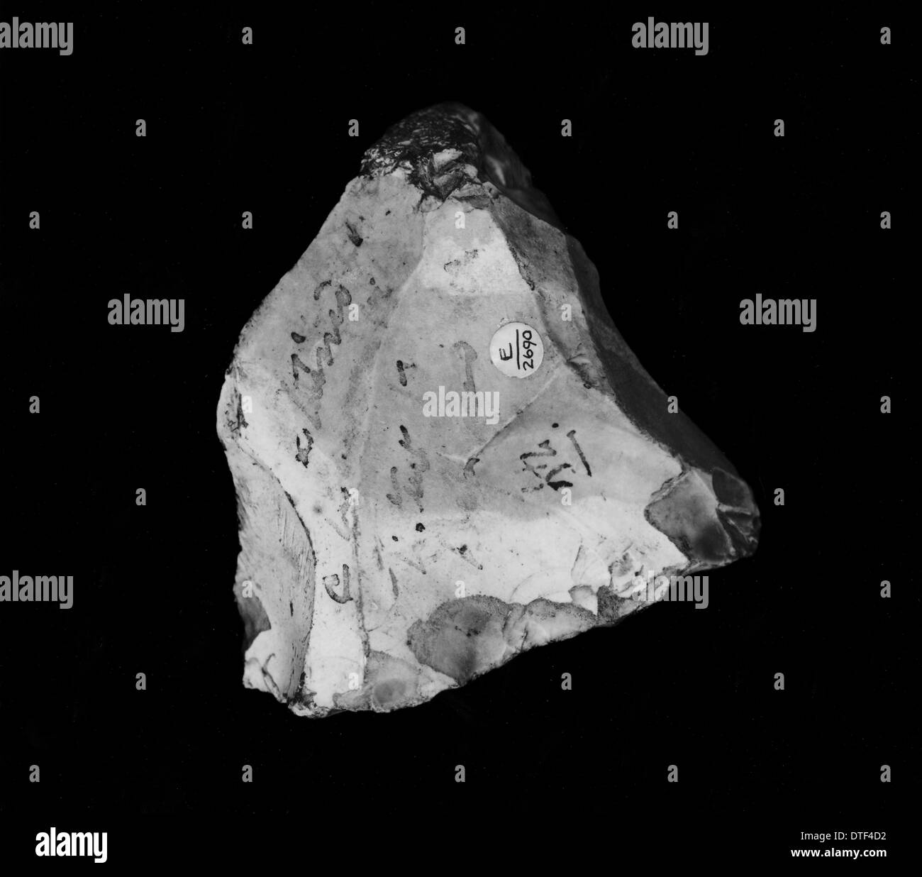 Morris morris Banque de photographies et d’images à haute résolution ...