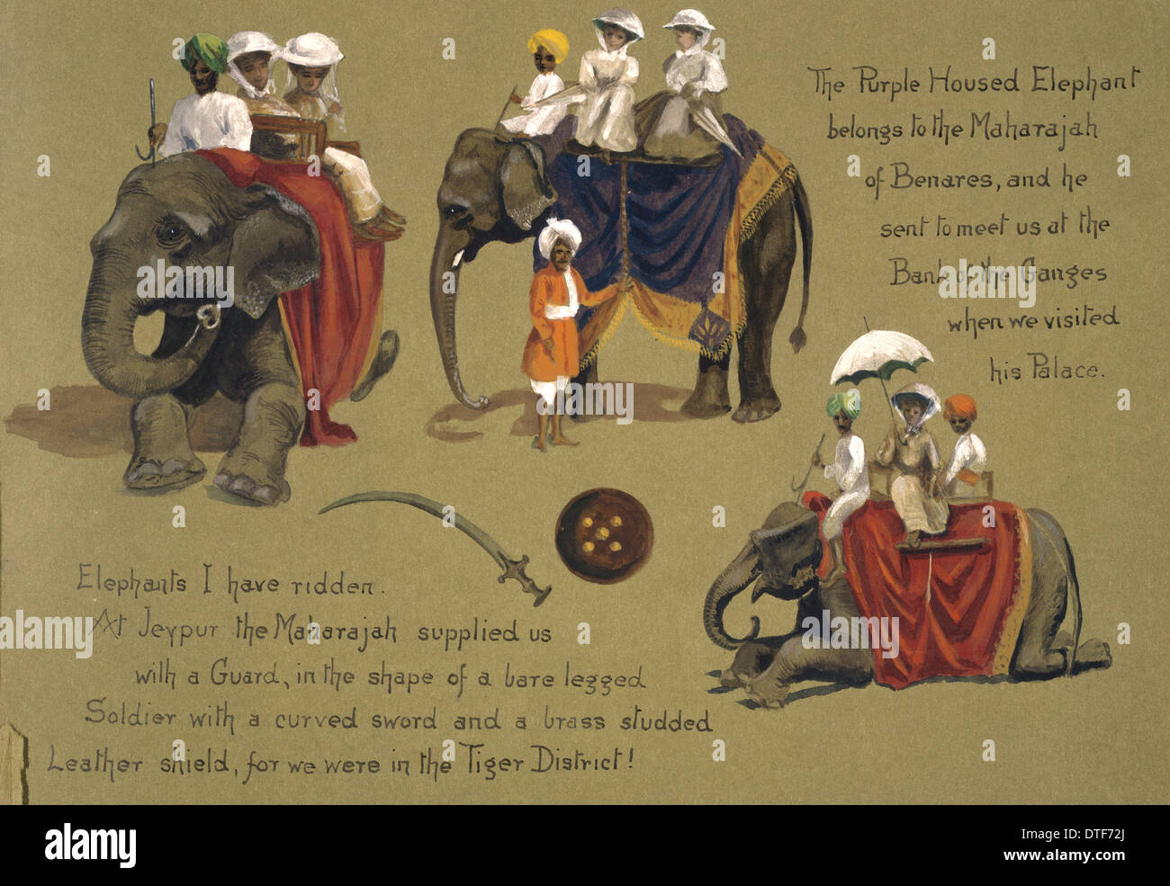 Elephas maximus drawing Banque de photographies et d’images à haute ...