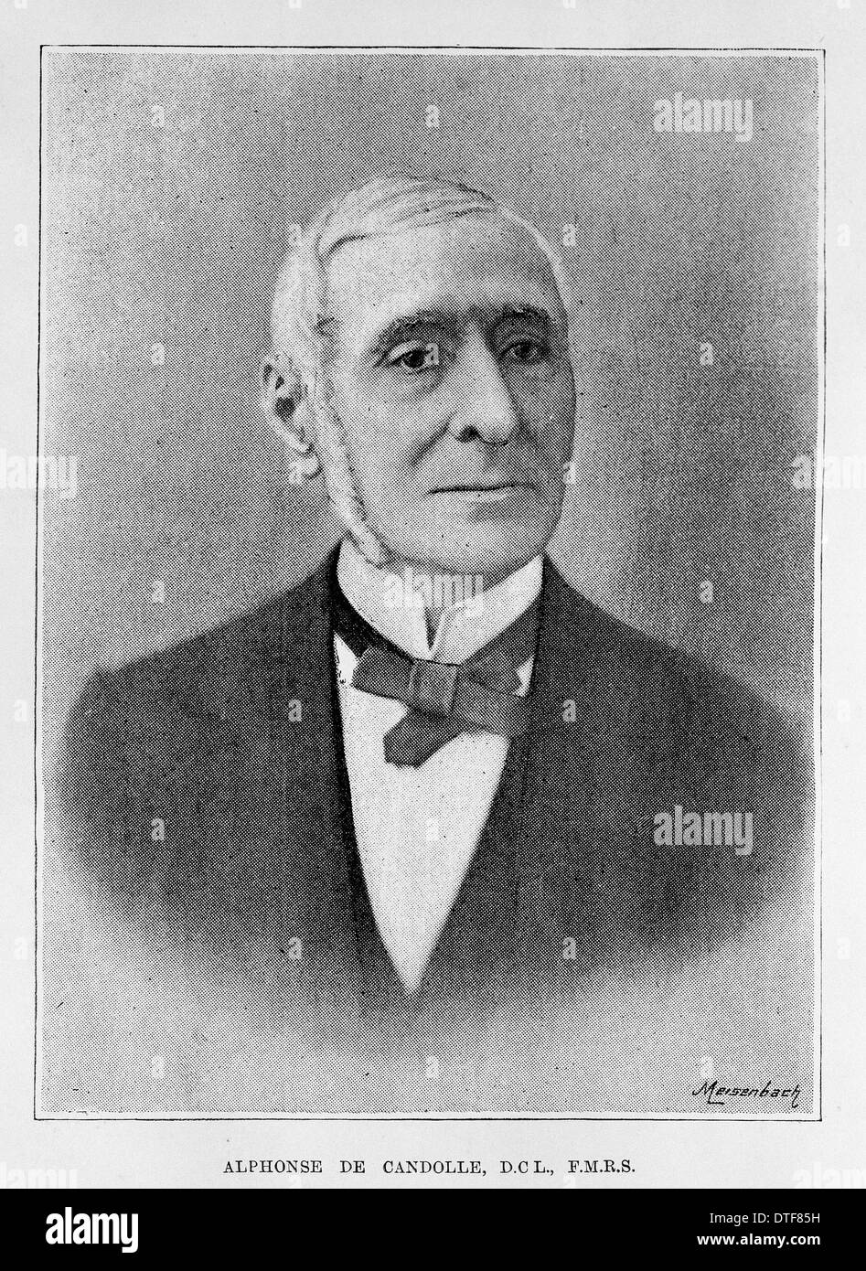 Alphonse de Candolle (1806-1893 Photo Stock - Alamy
