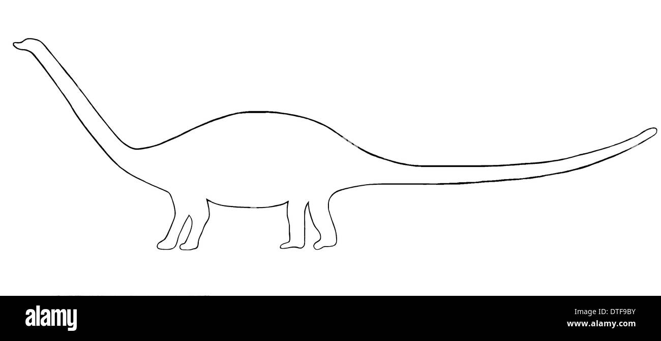Dessin de dinosaure diplodocus Banque d'images détourées - Alamy