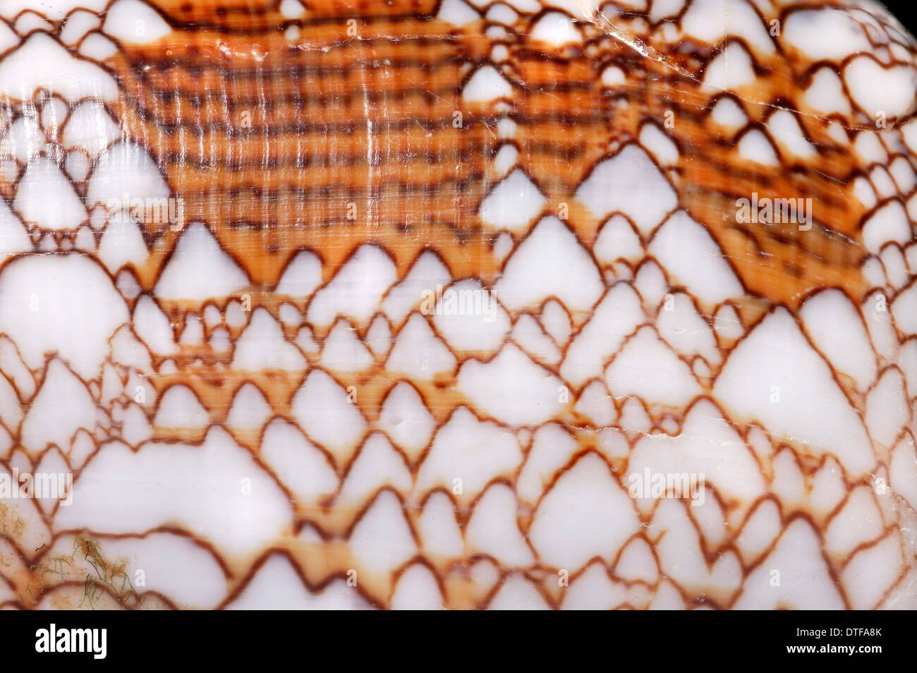 Son textile Banque de photographies et d’images à haute résolution - Alamy