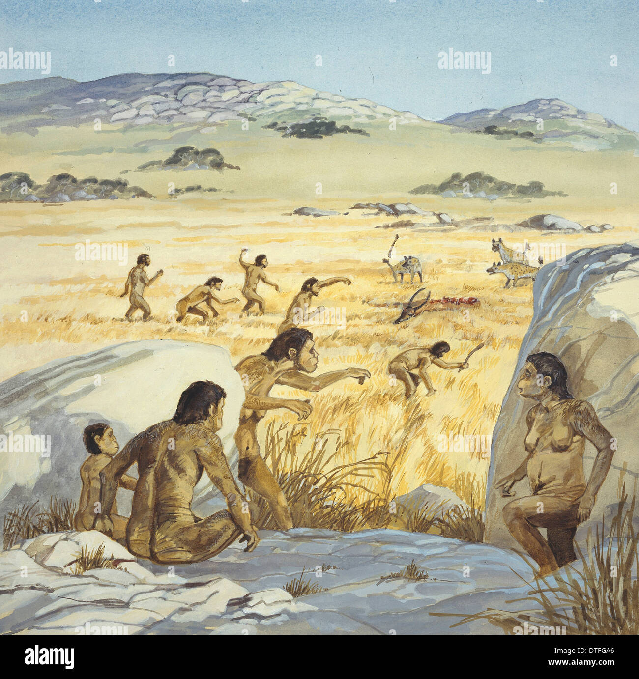 Homo habilis habilis Banque de photographies et d’images à haute ...