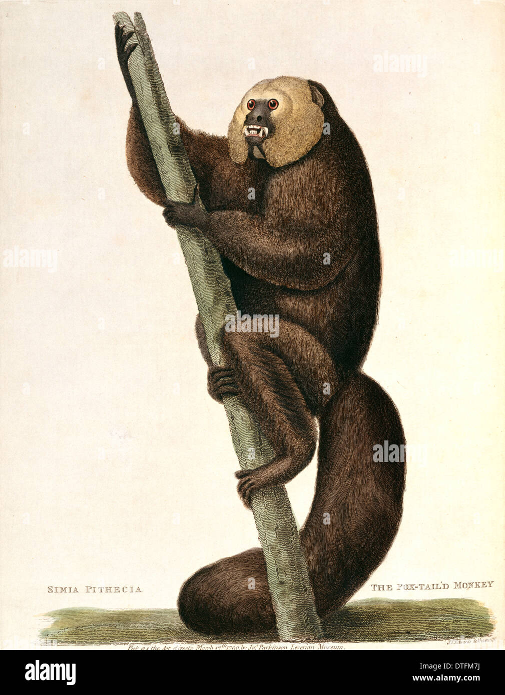 1729 1824 Banque de photographies et d’images à haute résolution - Alamy