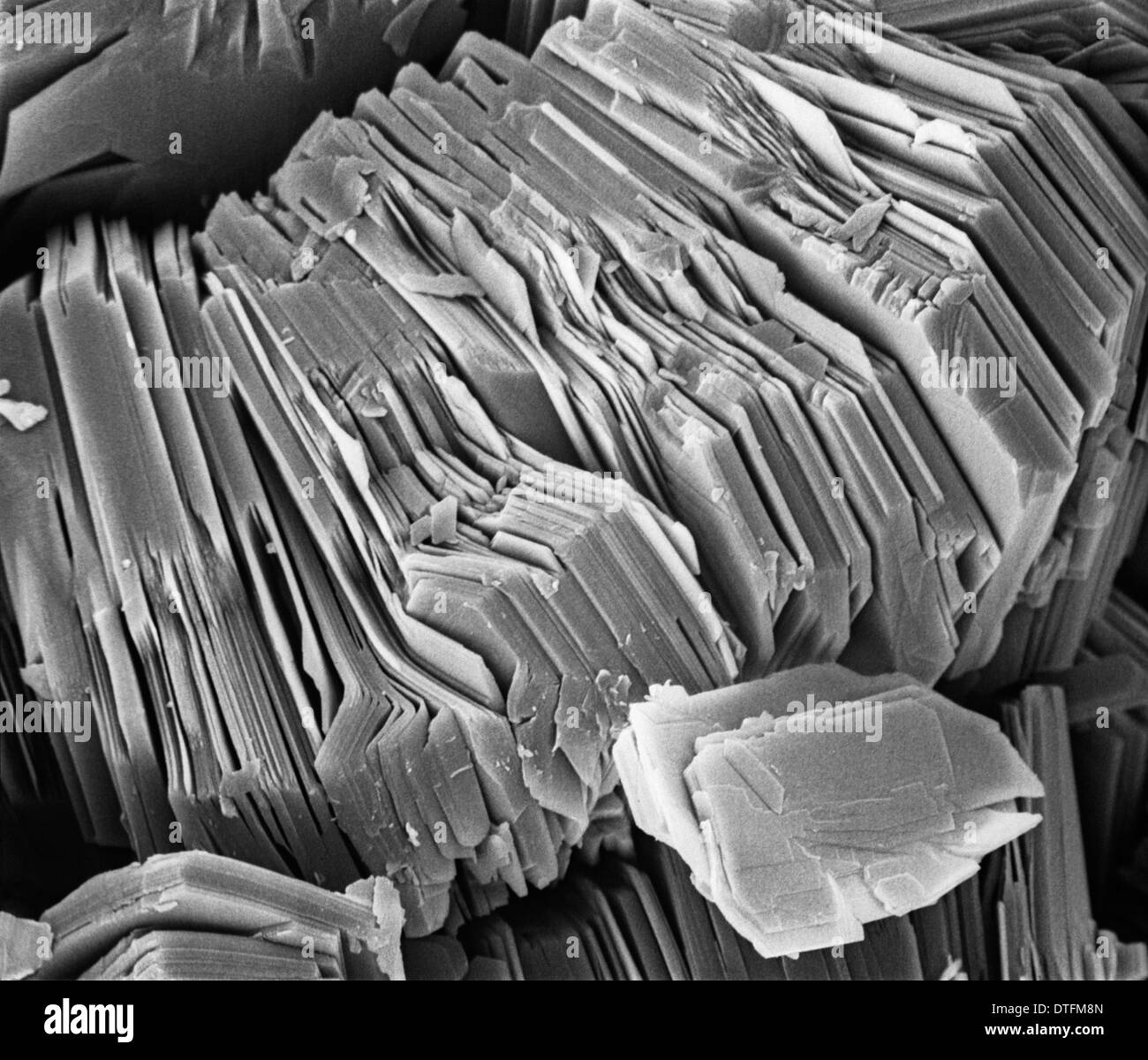 Scanning electron microscope clay Banque de photographies et d’images à ...