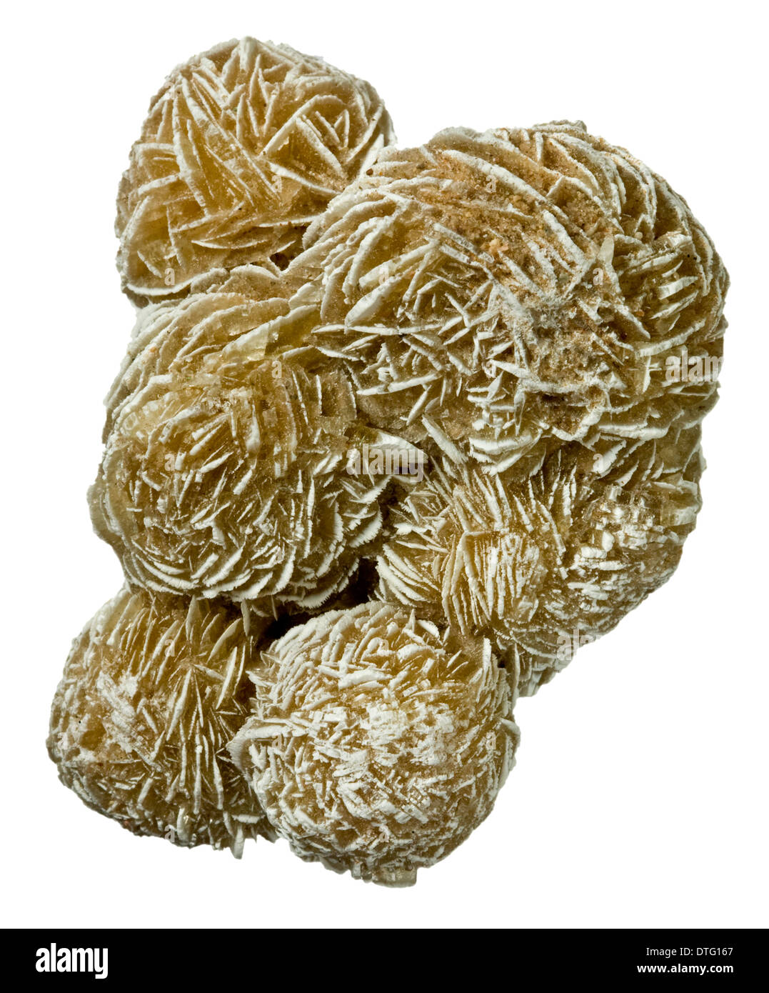 Rose des sables Banque d'images détourées - Alamy