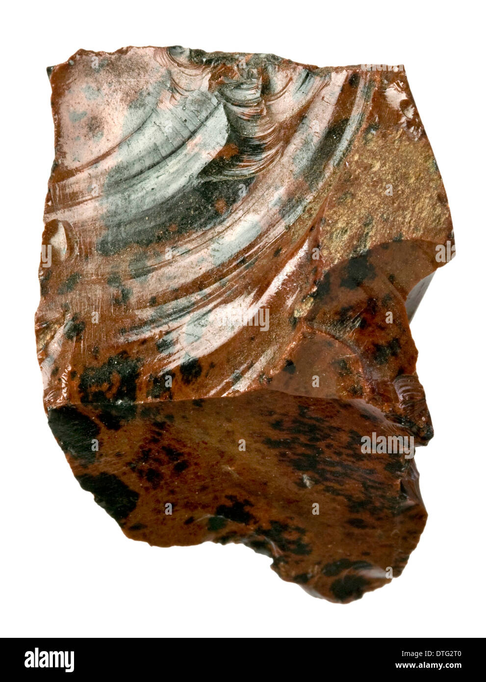 Mahogany Obsidian Banque d'image et photos - Alamy