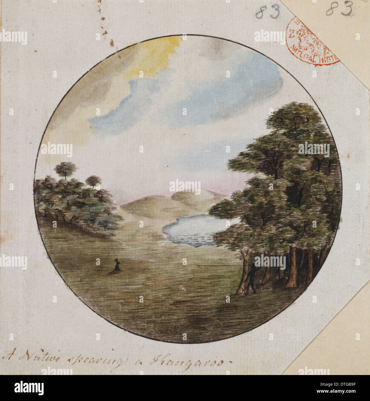 Kangaroo illustration Banque de photographies et d’images à haute ...