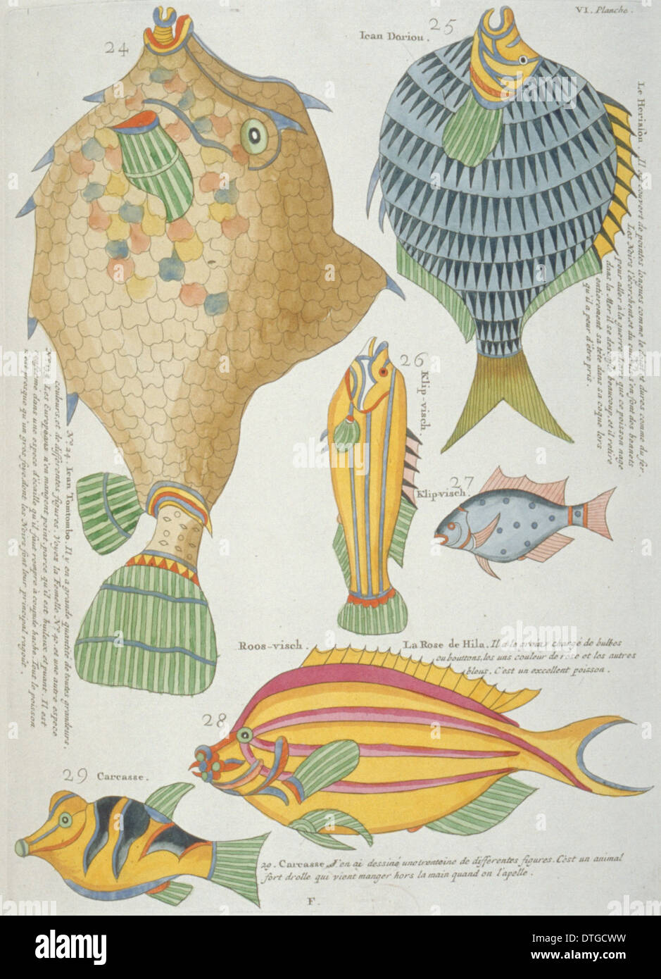 Fish scales illustration Banque de photographies et d’images à haute ...