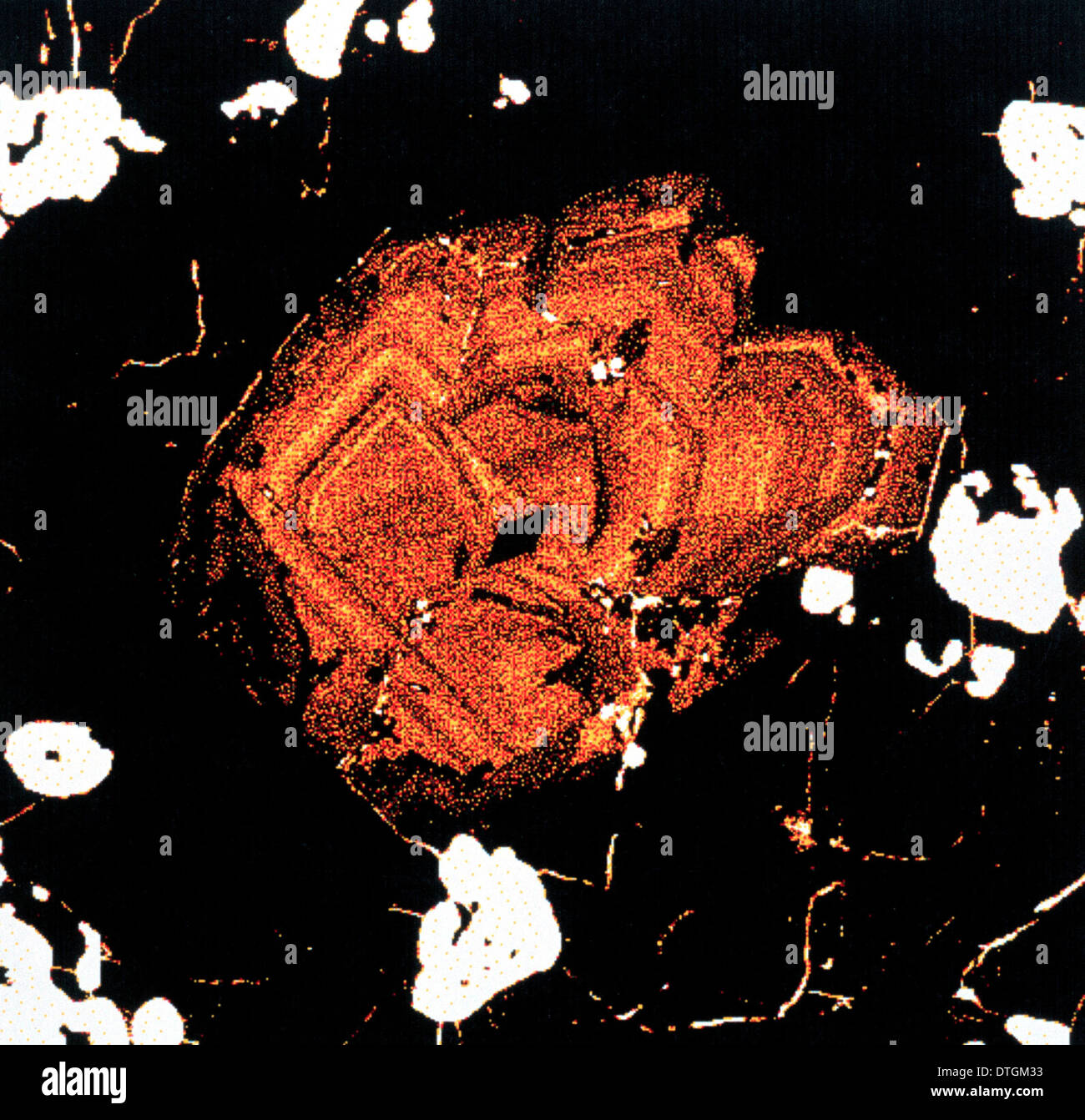 Scanning electron microscope image Banque d'image et photos - Page 7 ...