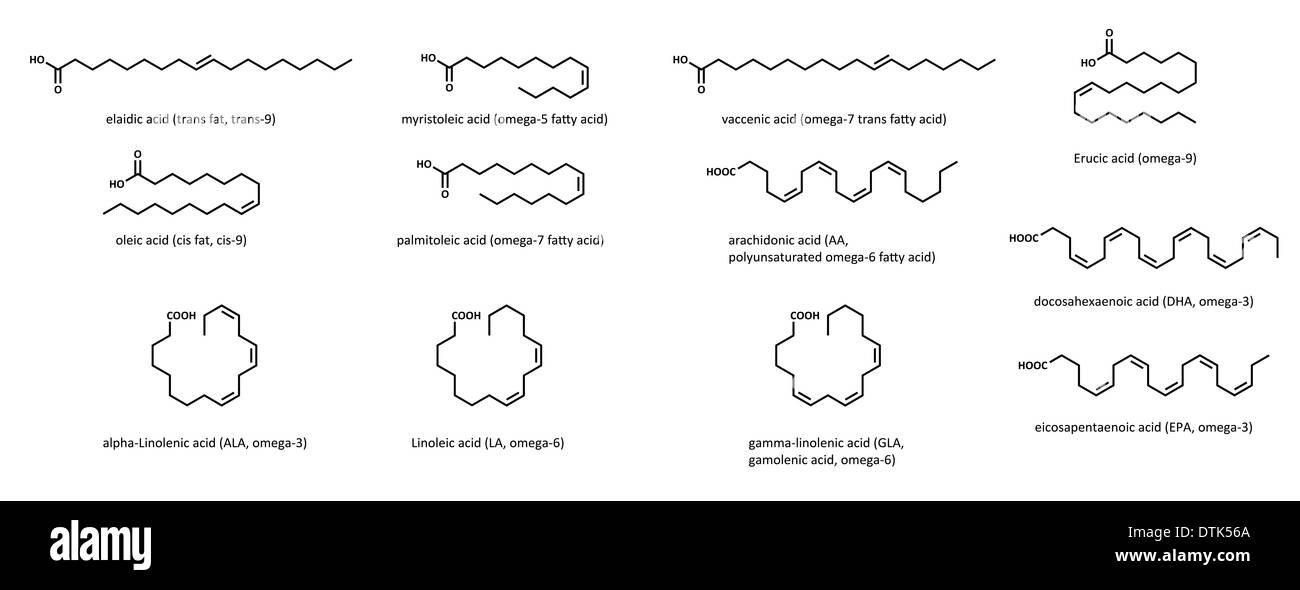 Oleic acid molecule Banque d'images noir et blanc - Alamy