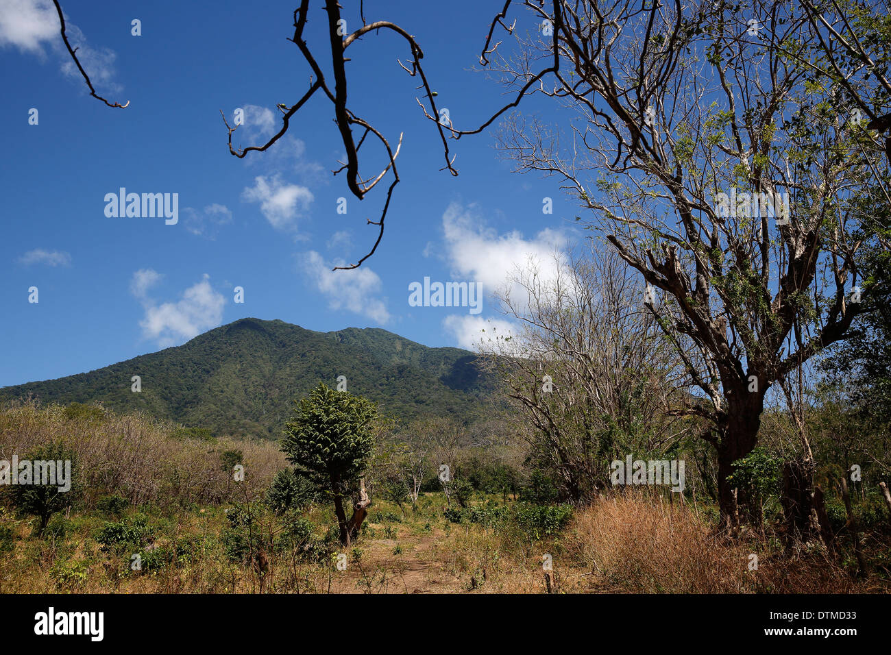 Volcan maderas Banque de photographies et d’images à haute résolution ...